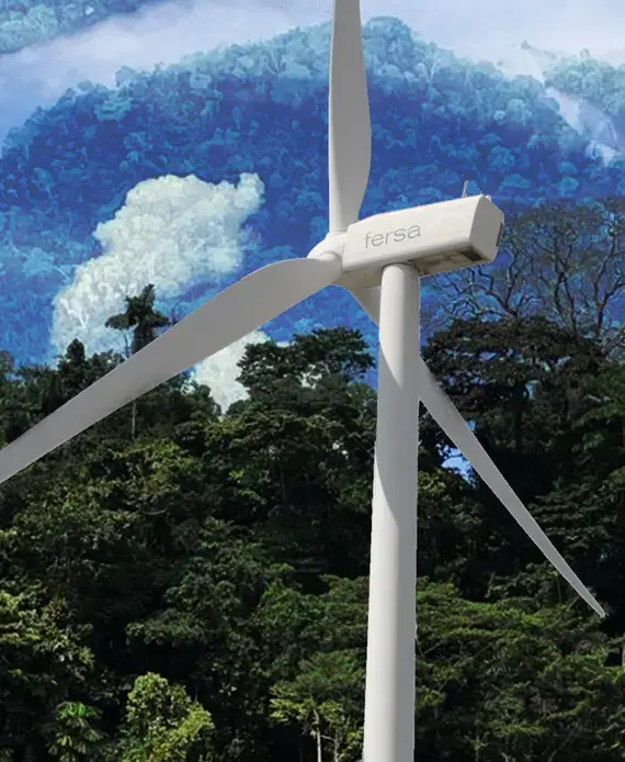 Extracting Ecuadorian Amazon Balsa Wood To Boost Green Energy in Europe ...