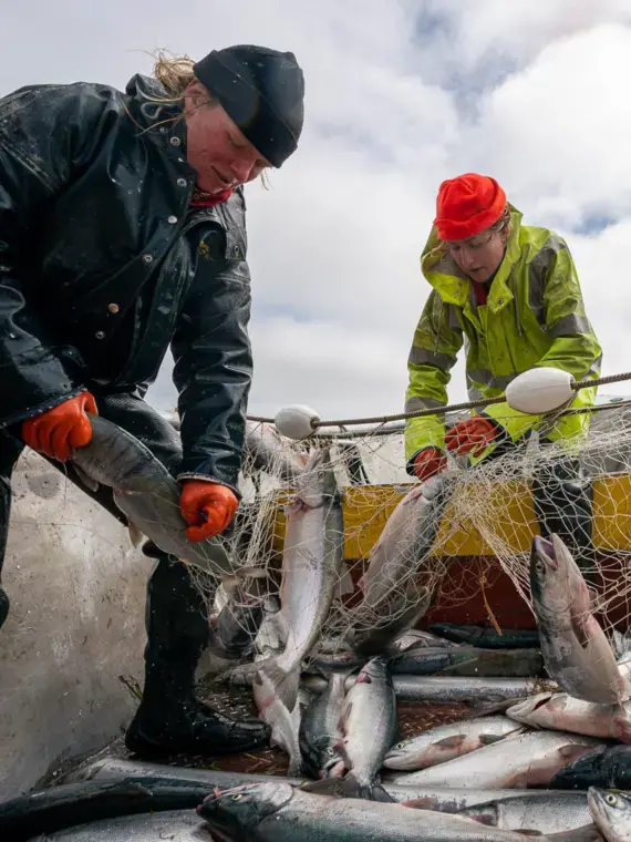 Amid a Changing Climate, a Record Return of Alaska’s Bristol Bay ...