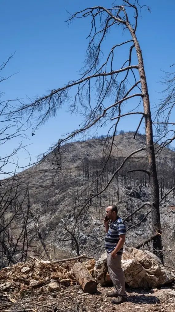 The Day the Honey Burned | Pulitzer Center