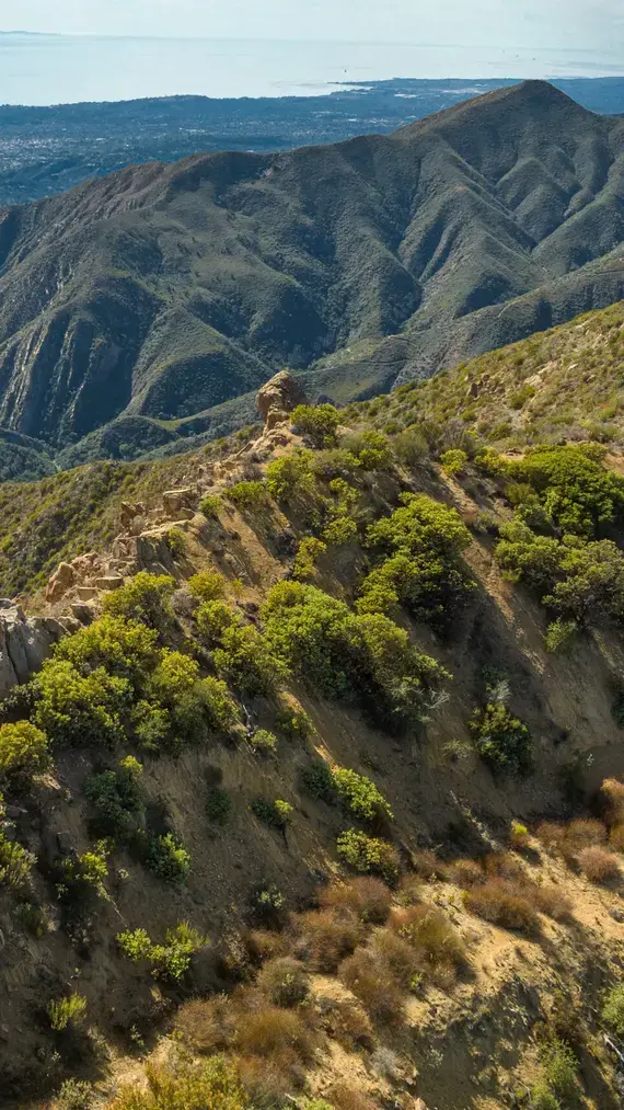 California Reeling | Pulitzer Center