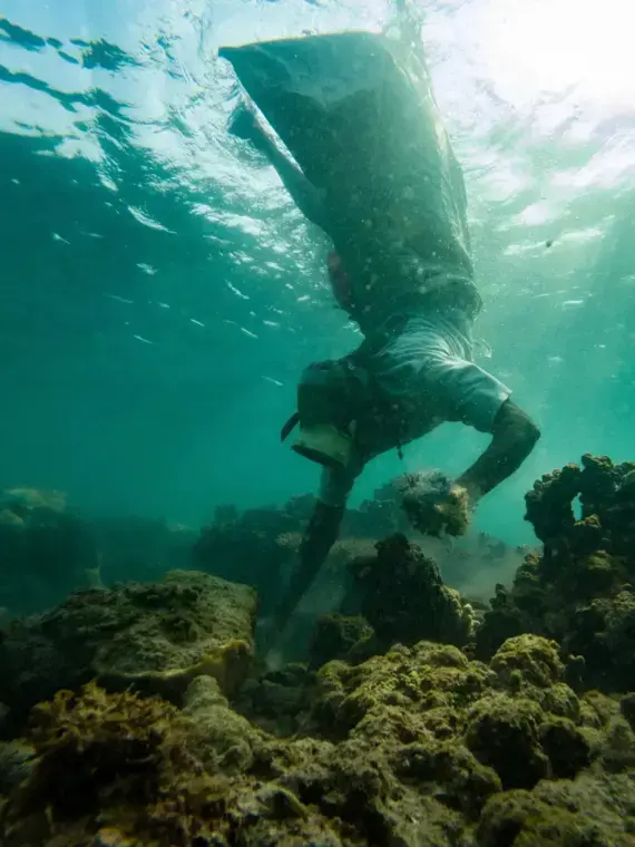 Ocean Reporting Toolkit | Pulitzer Center