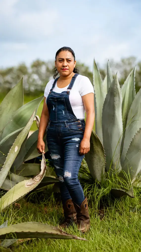 The Fight To Protect Outdoor Laborers From High Heat | Pulitzer Center