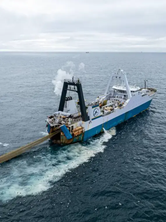 Bering Sea Pollock Fleets Under Scrutiny | Pulitzer Center