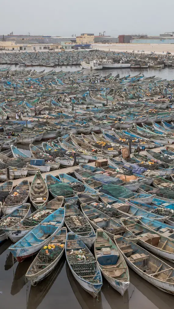 The Rampant Exploitation of Mauritania’s Octopus Fishery | Pulitzer Center