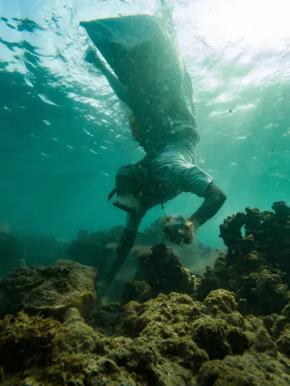 Pulitzer Center Announces 14 Impact Seed Fund (ISF) Projects | Pulitzer ...