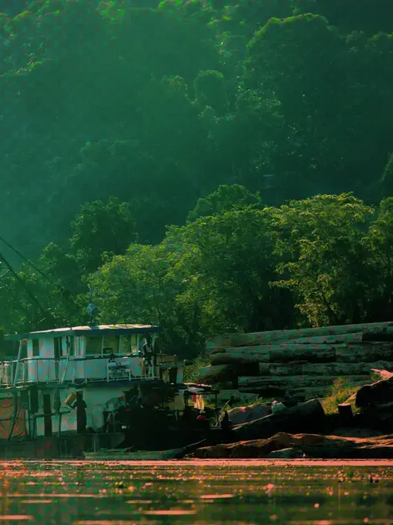 Timber Smuggling: From DRC, Through Uganda, to the Rest of the World ...