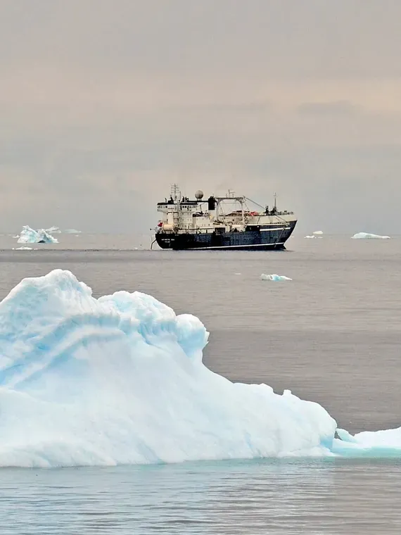 Norwegian and South Korean Fleets Overfishing Antarctic Krill ...