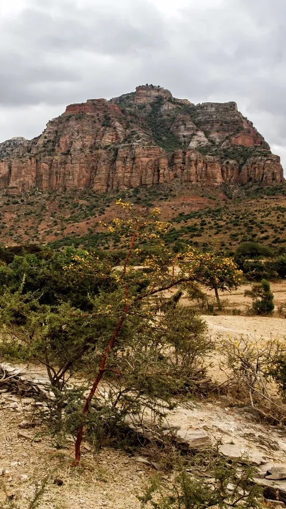 Gold, Ghosts, and Guns: Tracing the Aftermath of Ethiopia’s Tigray War ...