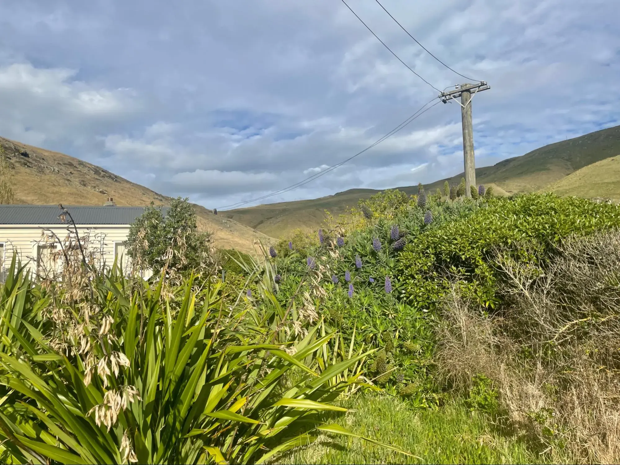 Māori in New Zealand Are Reimagining Child Protection | Pulitzer Center