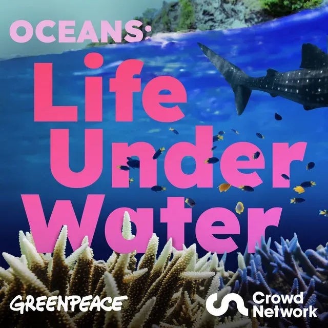 Pulitzer Center Ocean Editor Jessica Aldred Featured on 'Oceans: Life ...