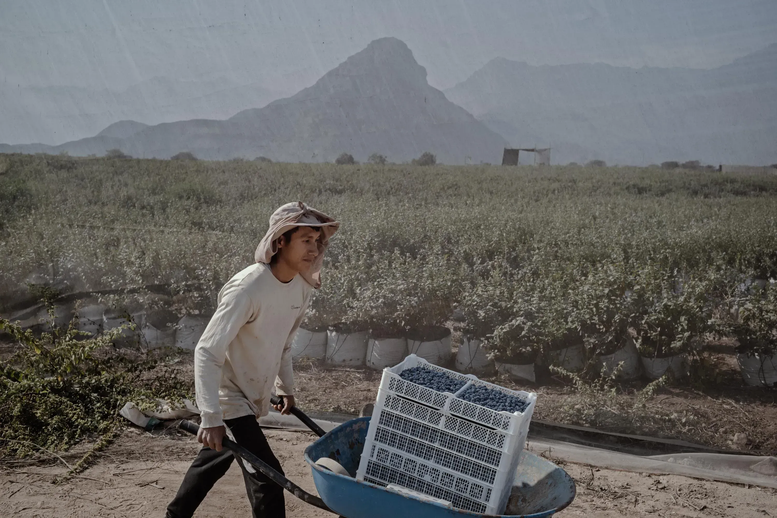 Peru's 'Blue Gold' Rush | Pulitzer Center