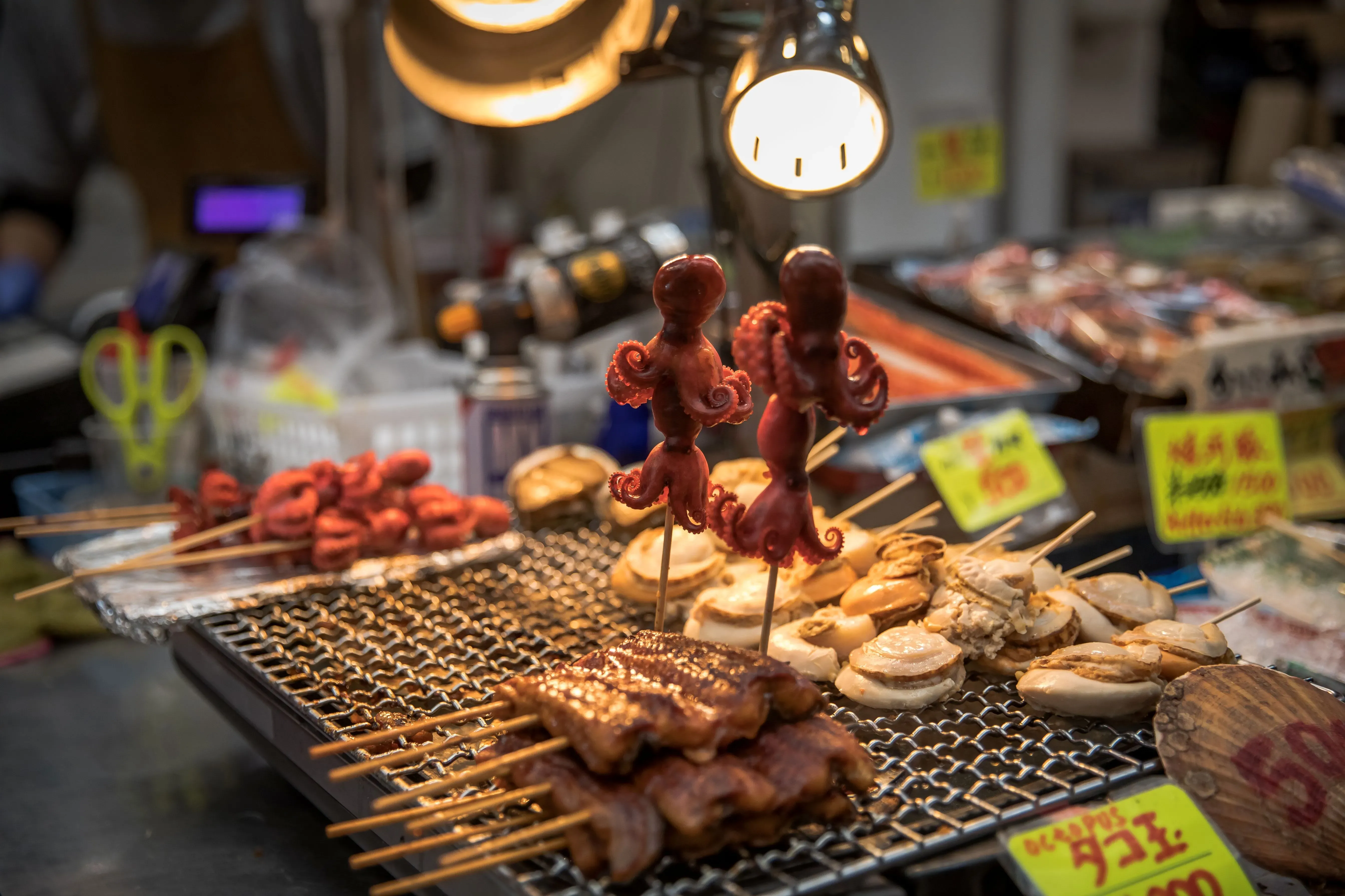 Should We Eat Octopus? (German) | Pulitzer Center