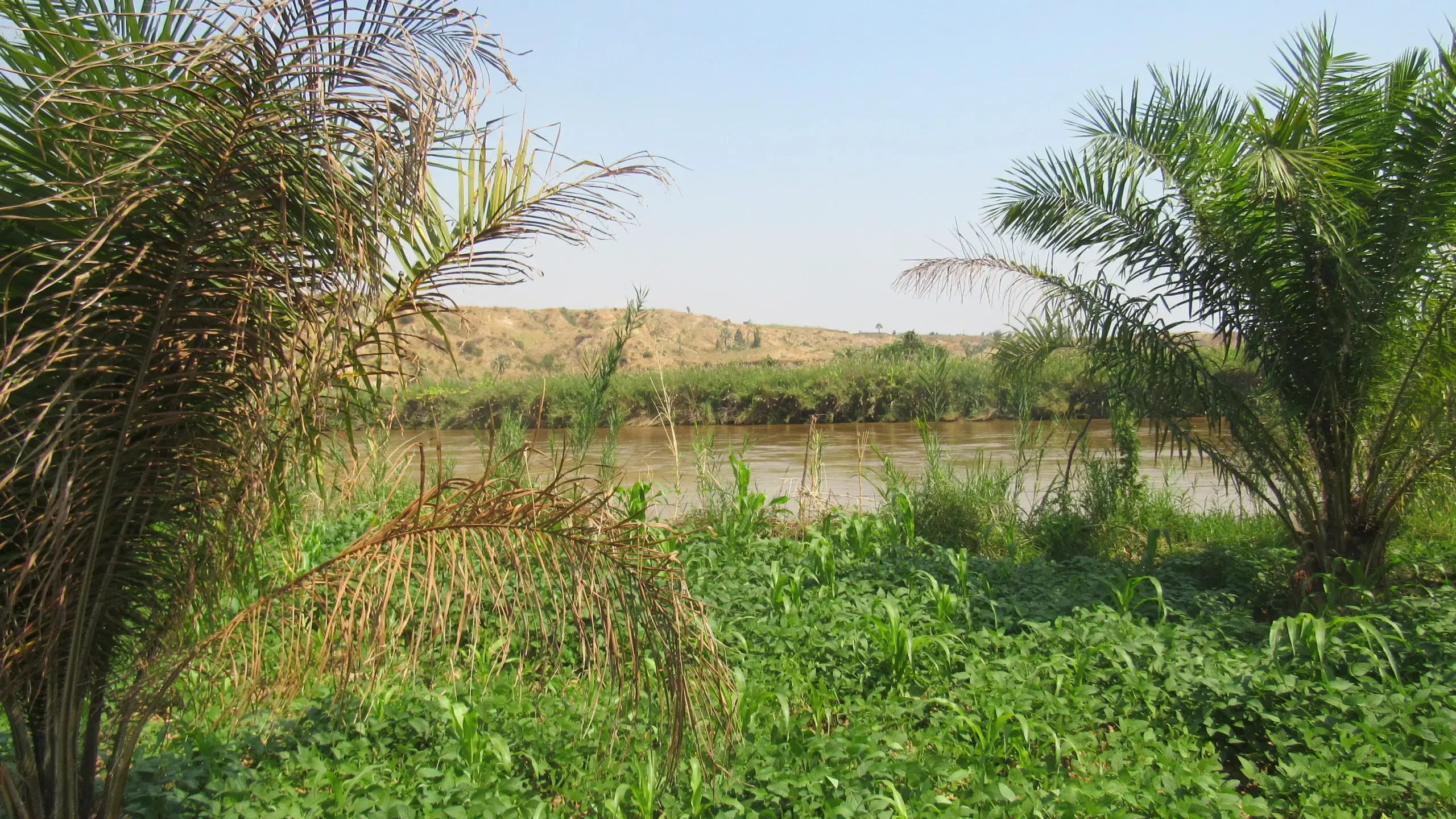 DRC-Burundi: Forests and Parks Fall Victim To Land Scarcity and ...