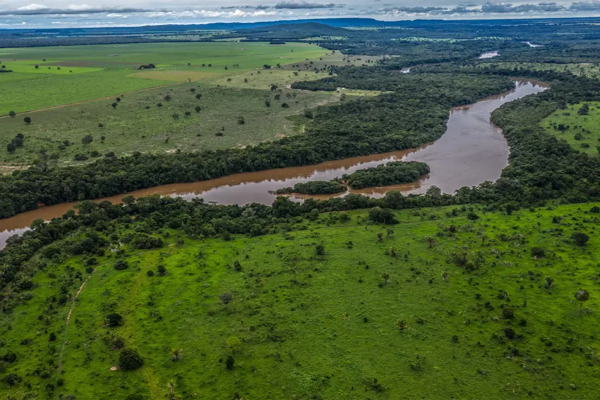 Indigenous Village Harvests Seeds To Slow Deforestation in Brazil’s ...