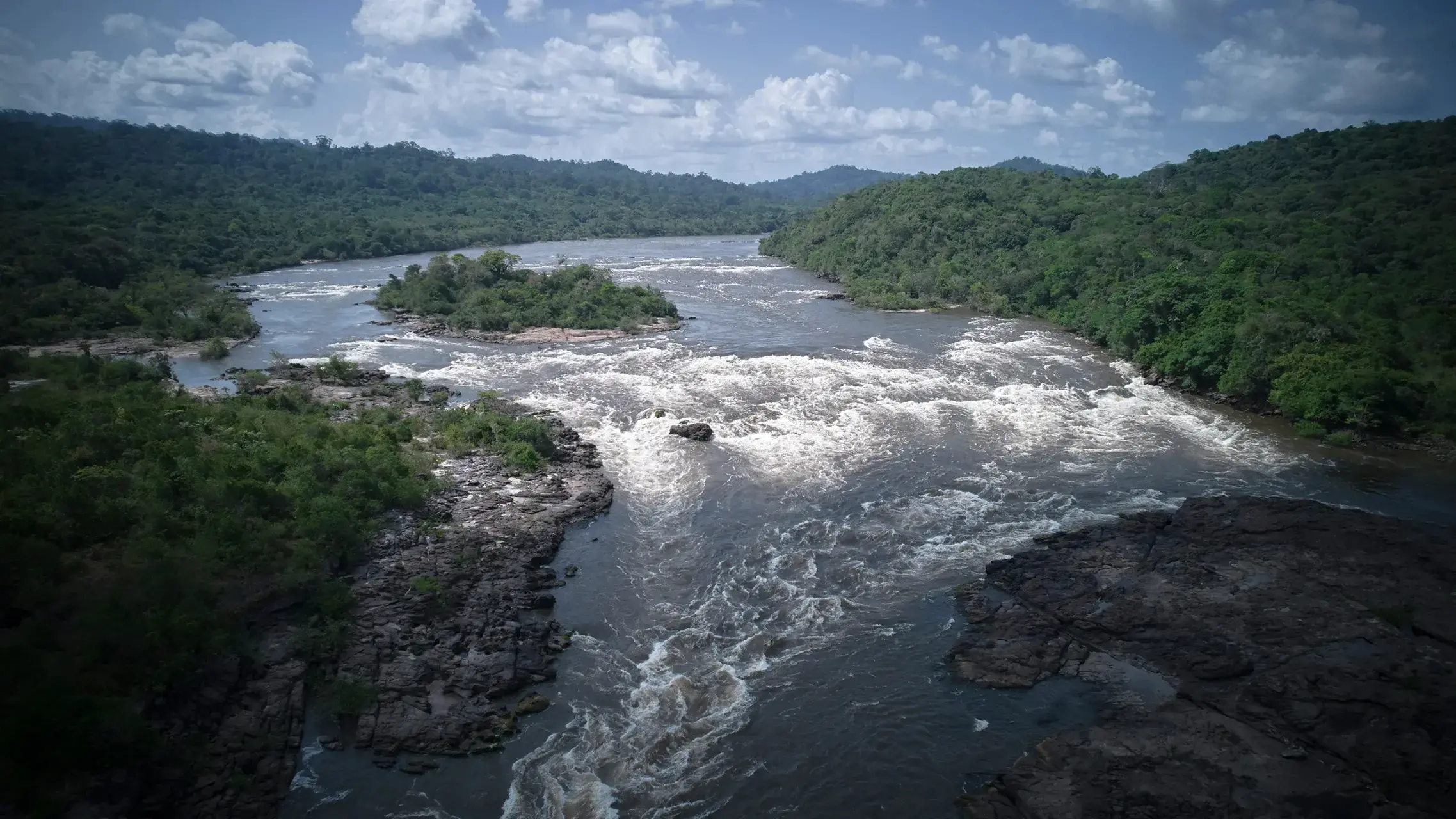 Ancient Giants: An Epic Quest To Reach the Tallest Known Tree in the ...