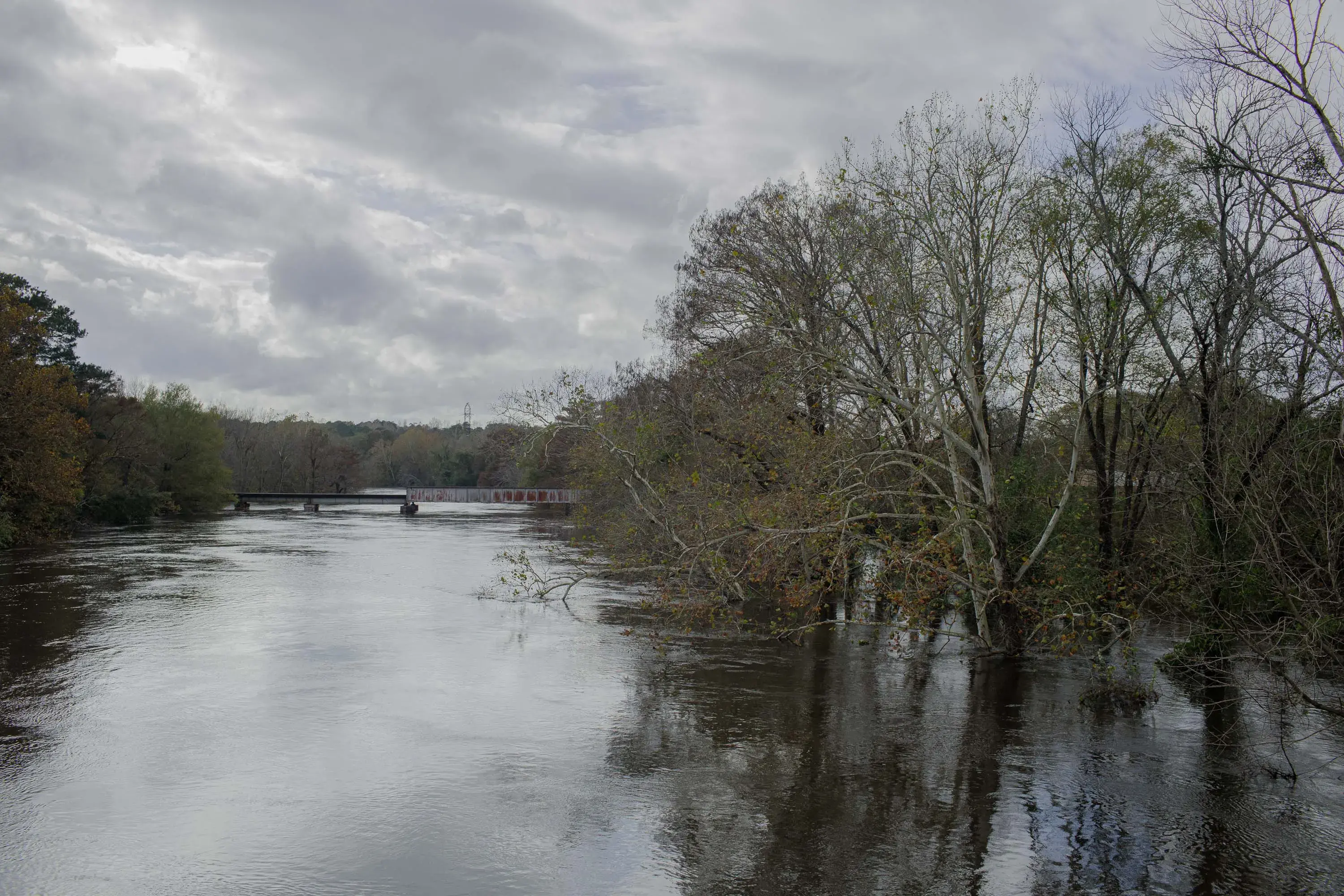 Homecoming: Race, Place and Living With the Tar River, Part I ...