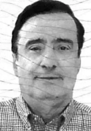 Two New Yorkers Tried To Leave Brazil With 77 Pounds of Gold in Their ...