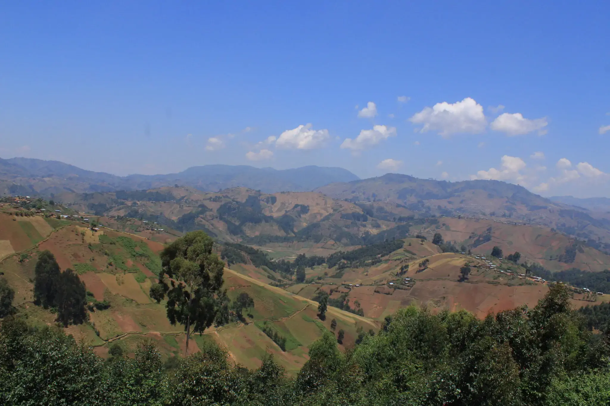 DRC-Burundi: Forests and Parks Fall Victim To Land Scarcity and ...