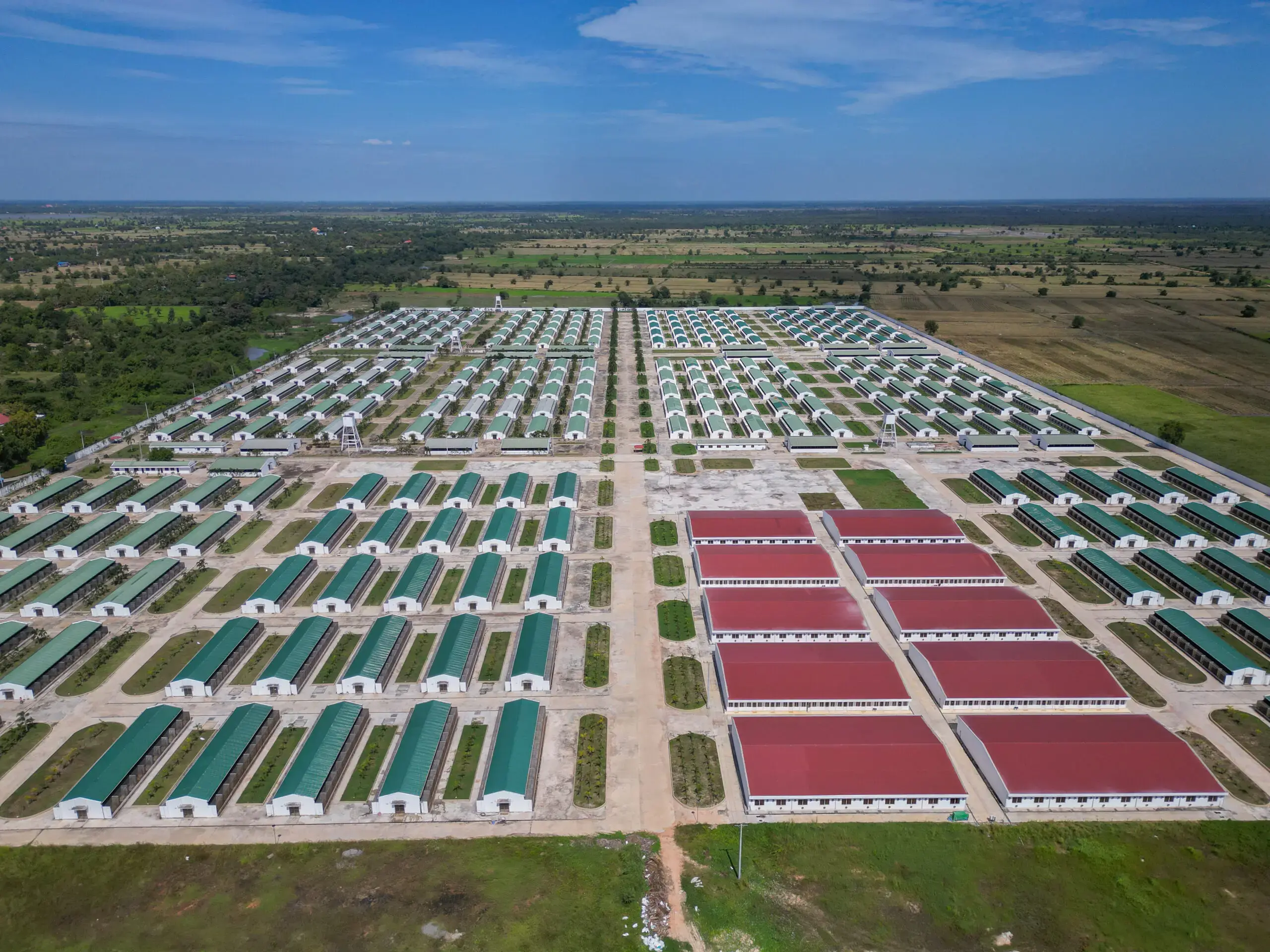 Cambodian Monkey Exports to Canada for Lab Tests Are Surging, Fueling ...