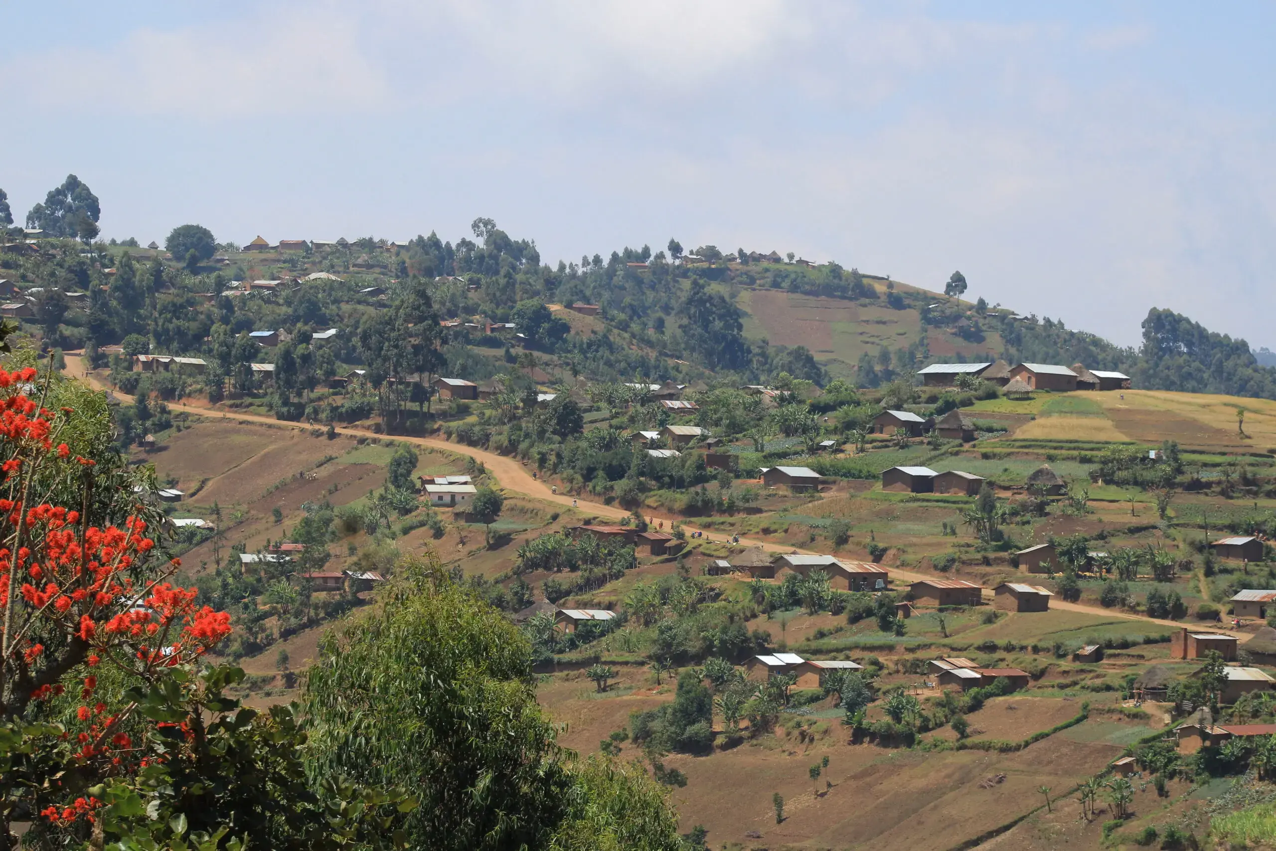 DRC-Burundi: Forests and Parks Fall Victim To Land Scarcity and ...
