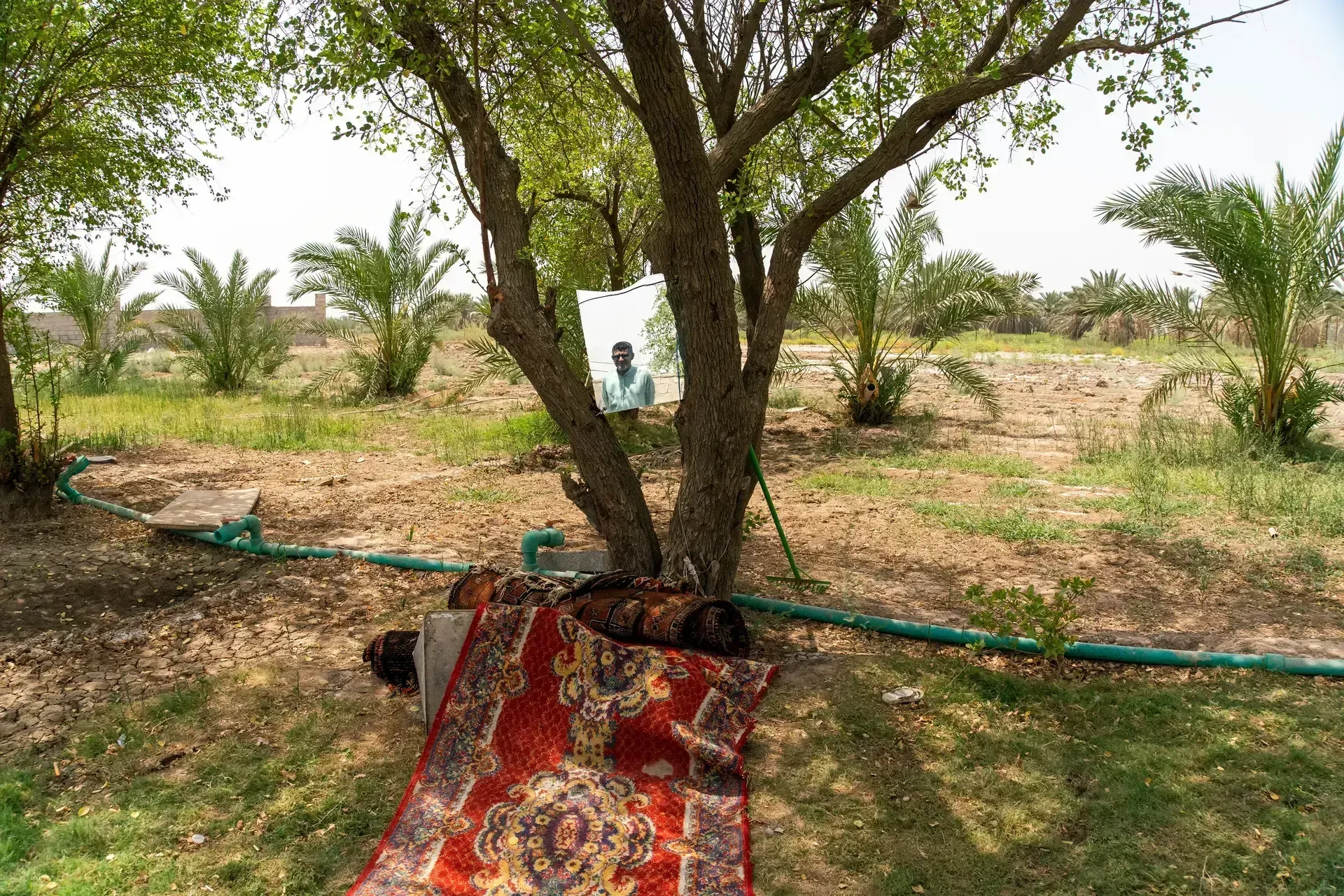 ‘It Used To Be Like Heaven’: The Iraq Wetlands Decimated by the Climate ...