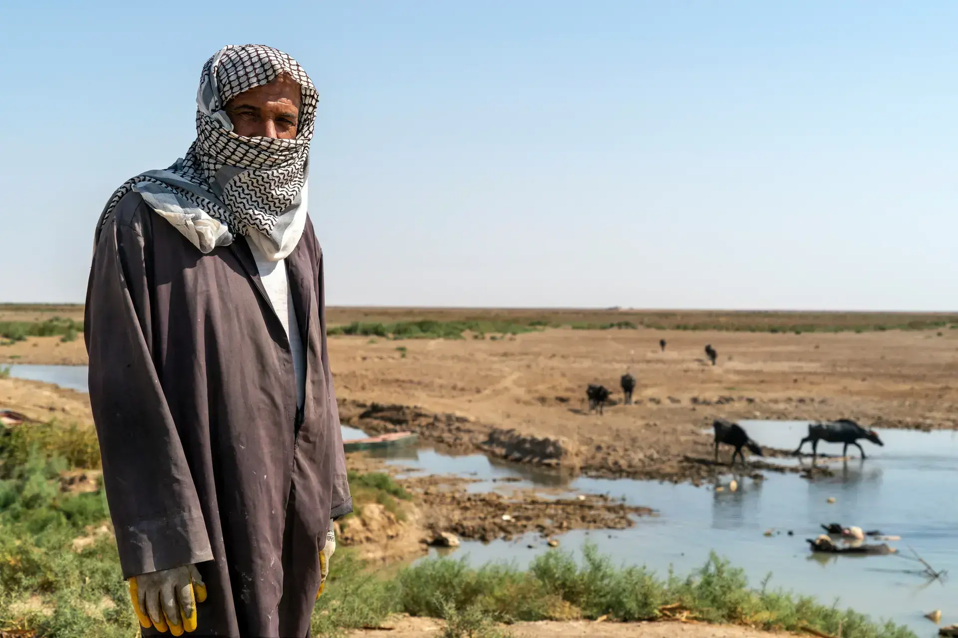 ‘It Used To Be Like Heaven’: The Iraq Wetlands Decimated by the Climate ...