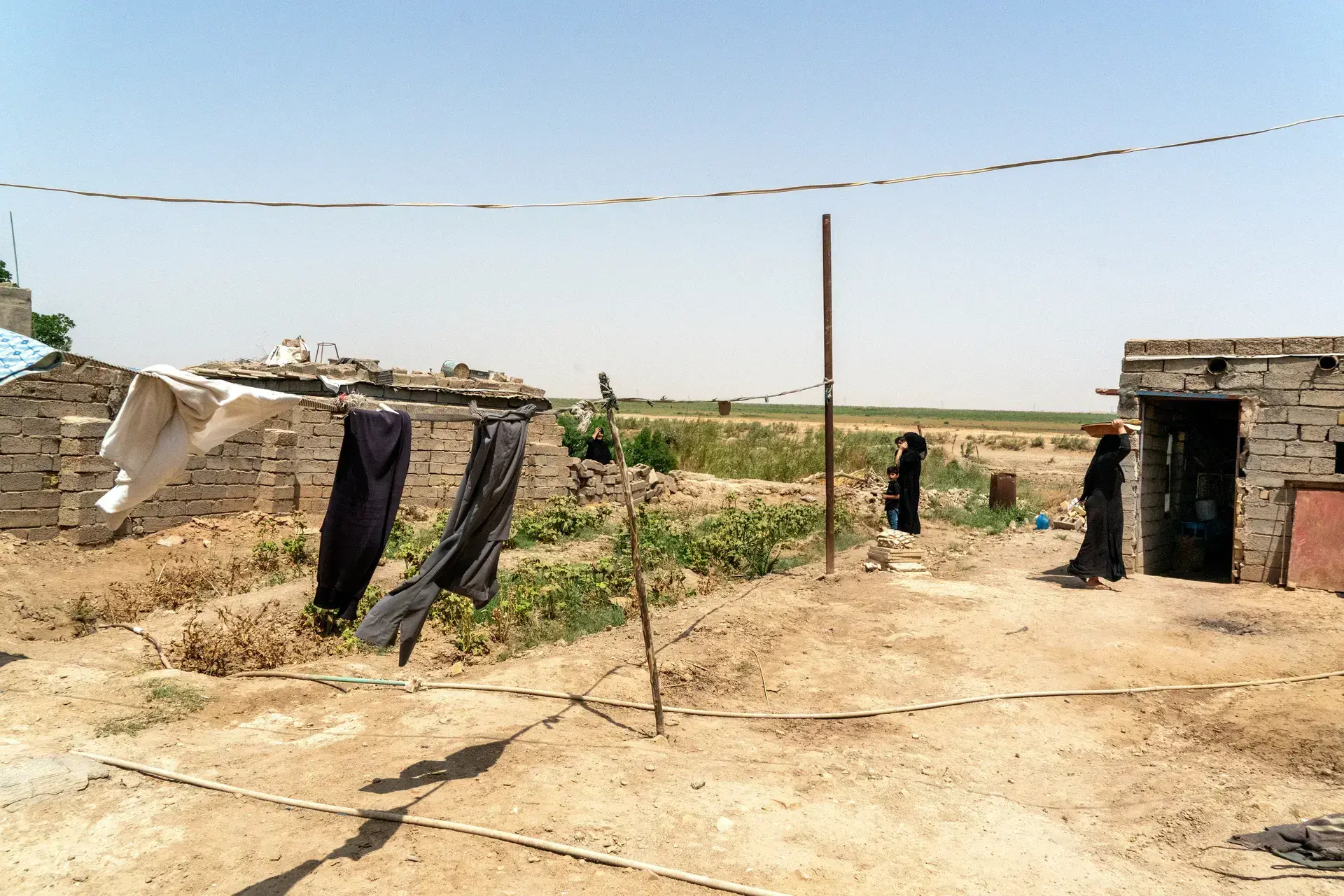 ‘It Used To Be Like Heaven’: The Iraq Wetlands Decimated by the Climate ...