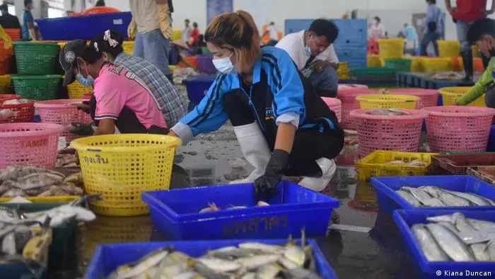 How Thailand Pushes Myanmar Migrants Into Modern Slavery | Pulitzer Center