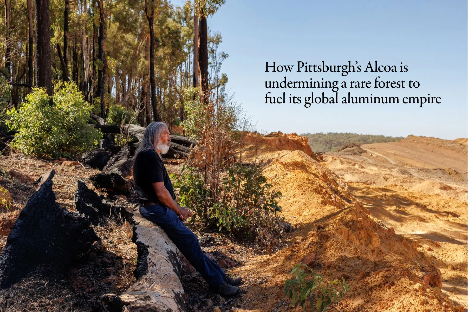 How Pittsburgh’s Alcoa Is Undermining a Rare Forest To Fuel Its Global ...