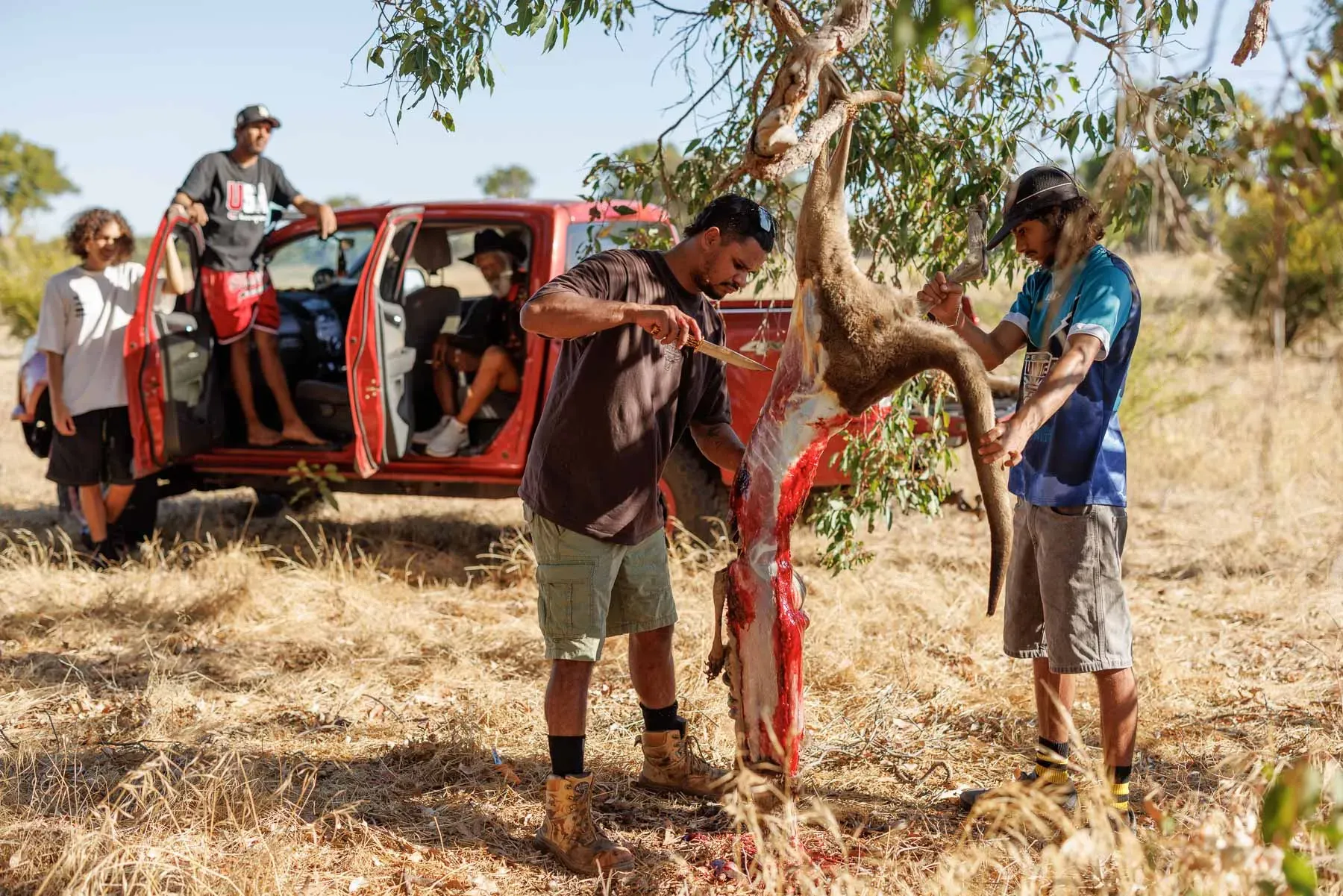 How Pittsburgh’s Alcoa Is Undermining a Rare Forest To Fuel Its Global ...