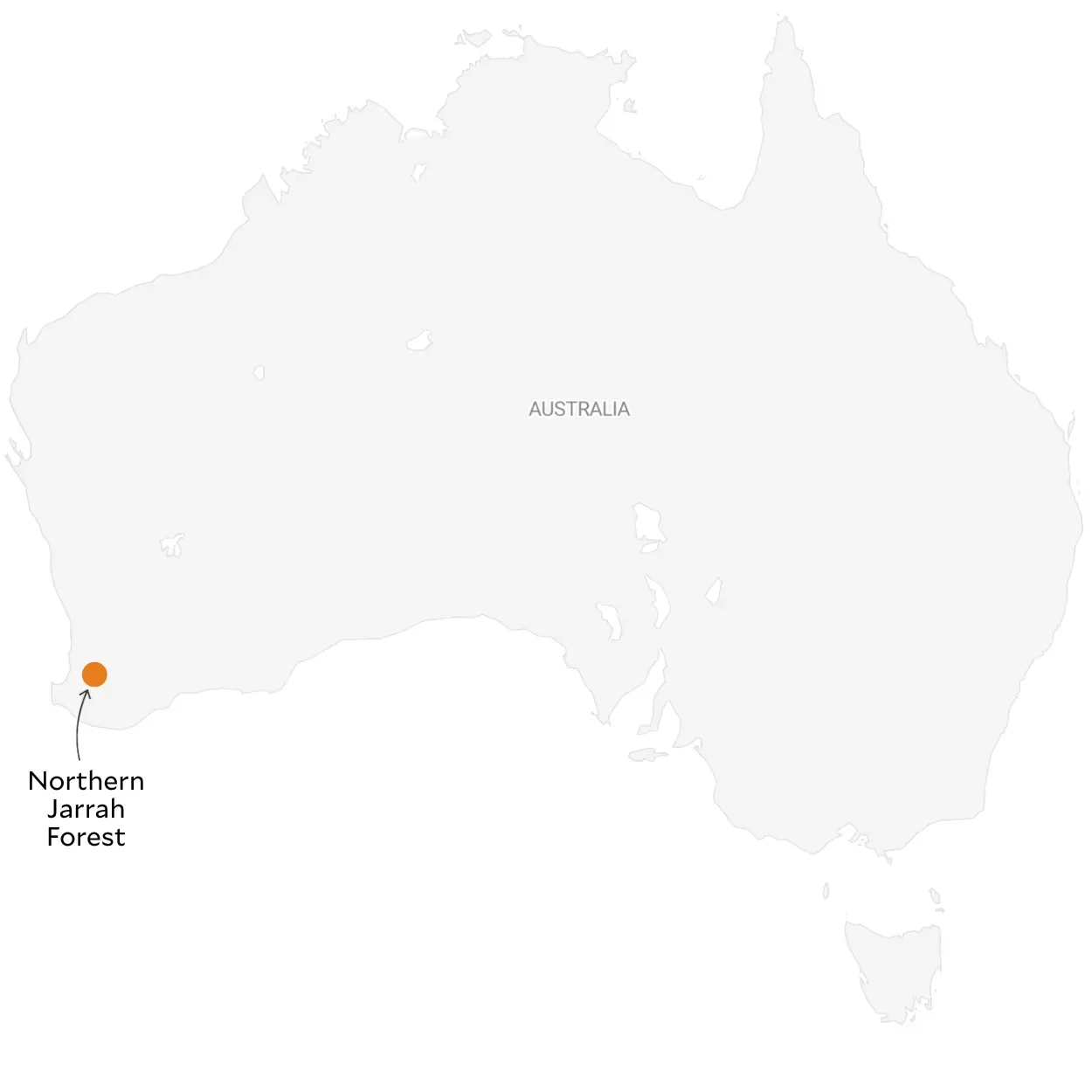 How Pittsburgh’s Alcoa Is Undermining a Rare Forest To Fuel Its Global ...