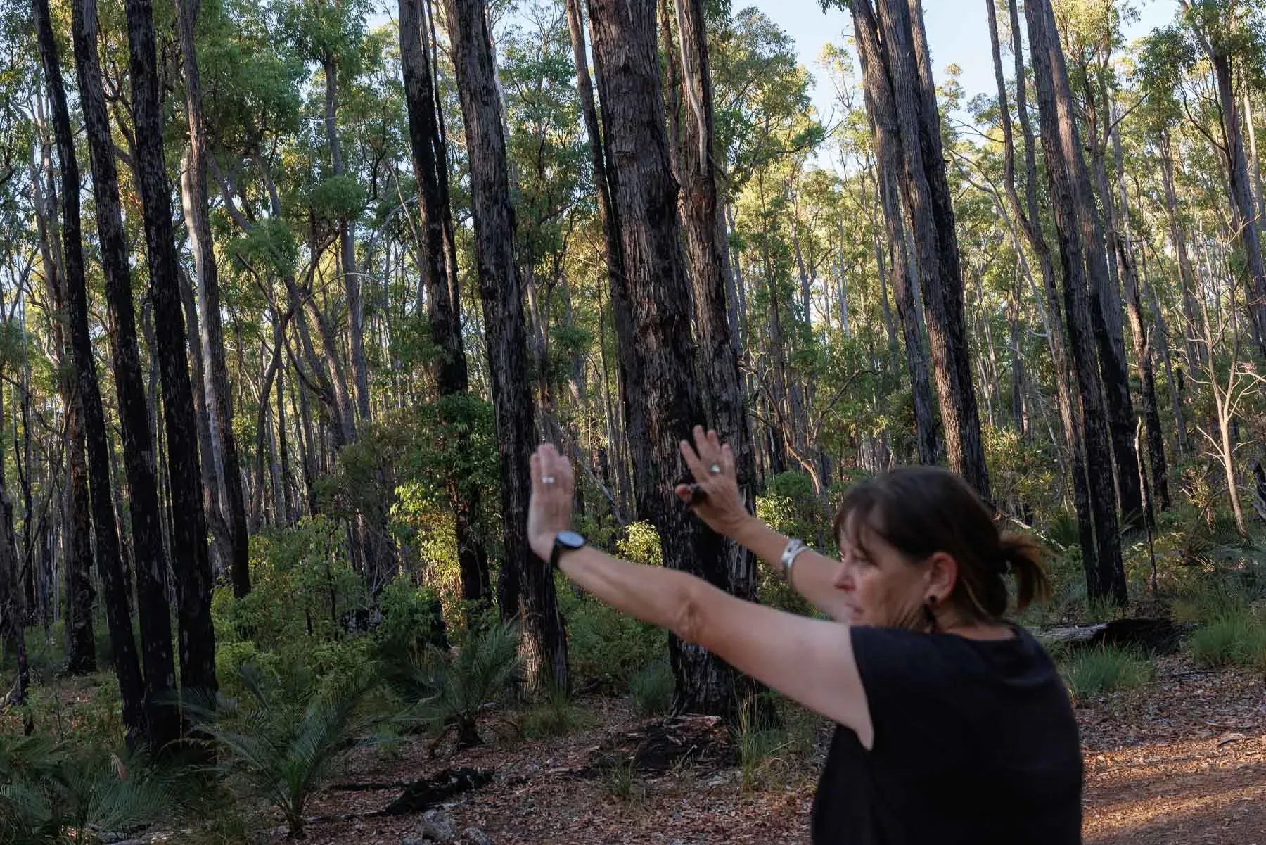 How Pittsburgh’s Alcoa Is Undermining a Rare Forest To Fuel Its Global ...