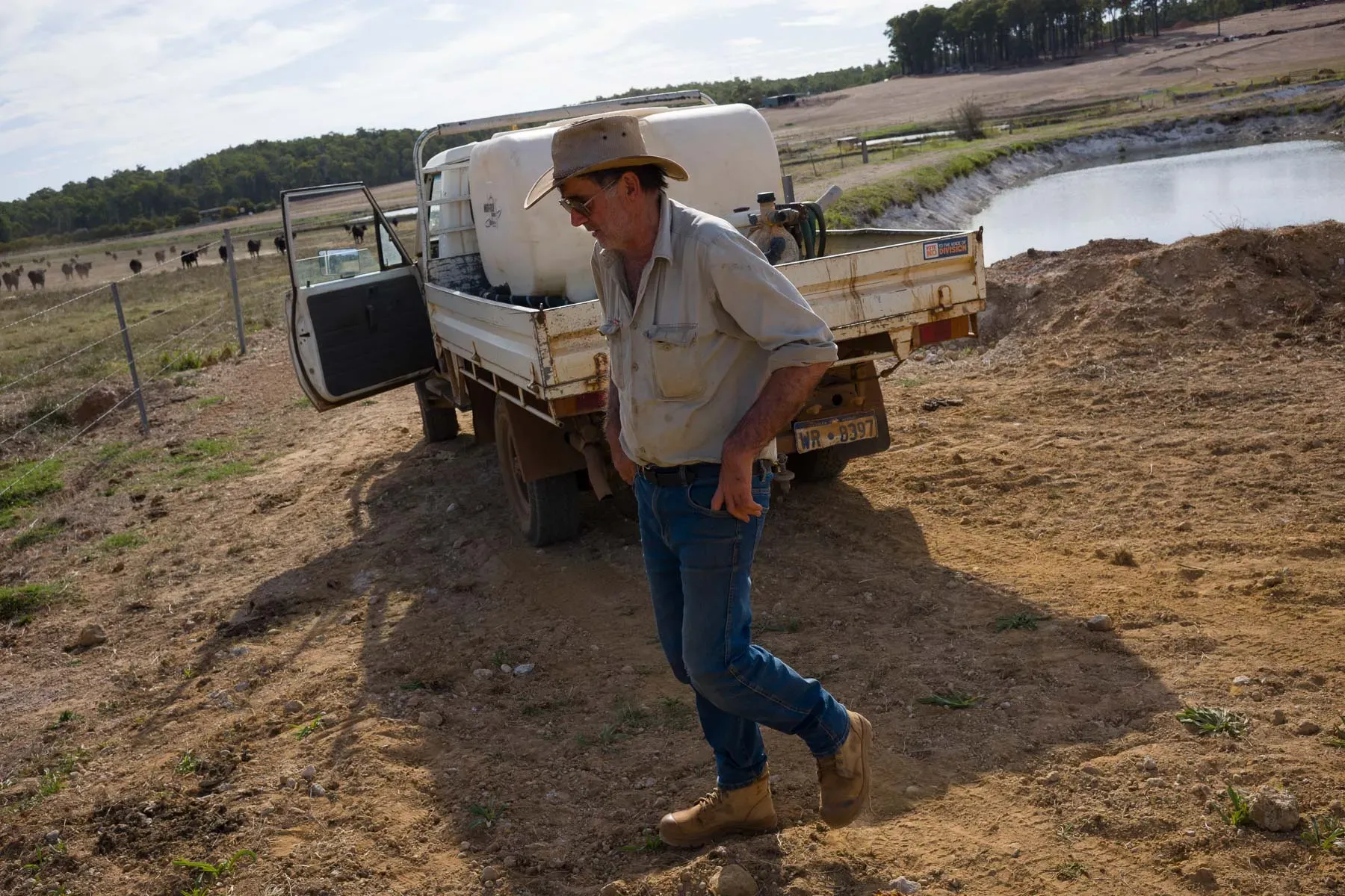 How Pittsburgh’s Alcoa Is Undermining a Rare Forest To Fuel Its Global ...