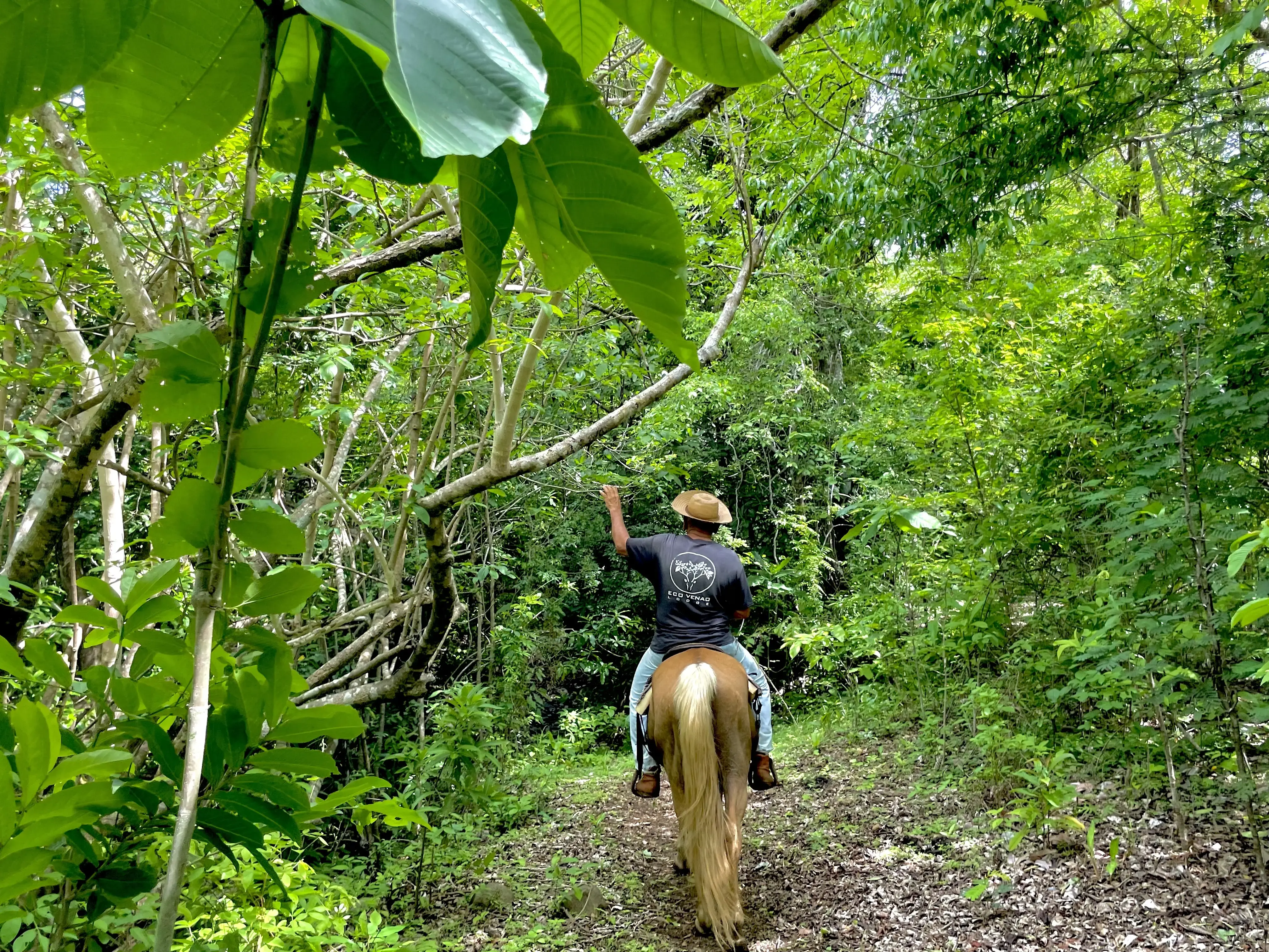 Sidelined Society: Rapid Development Transforms the Landscape of Rural ...