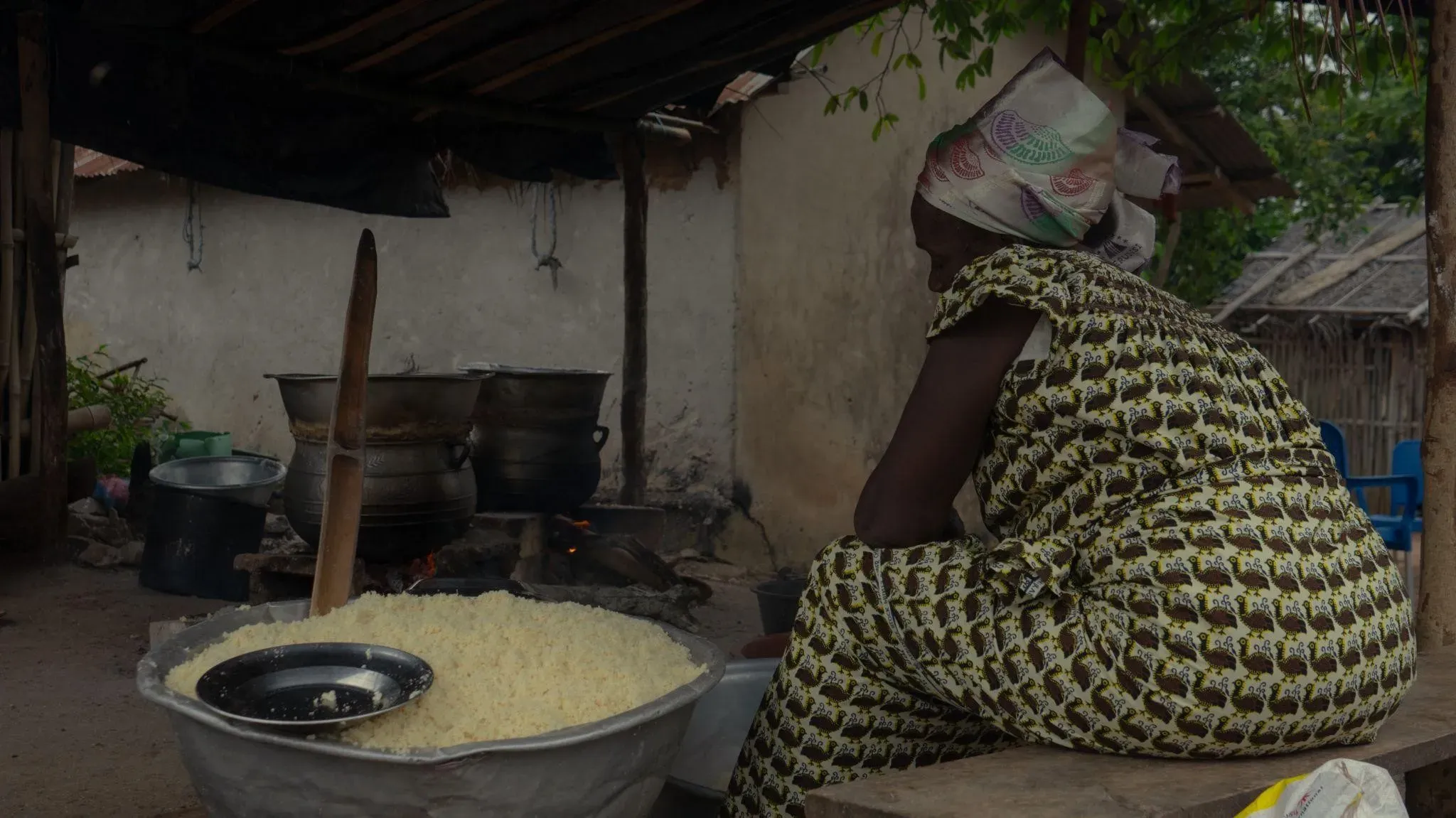 Cocoa, Child Labour and Côte d’Ivoire: The Emerging Change | Pulitzer ...