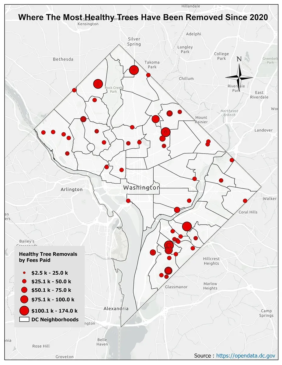 The Shade Gap: How Development Is Taking a Toll on D.C.’s Tree Canopy ...