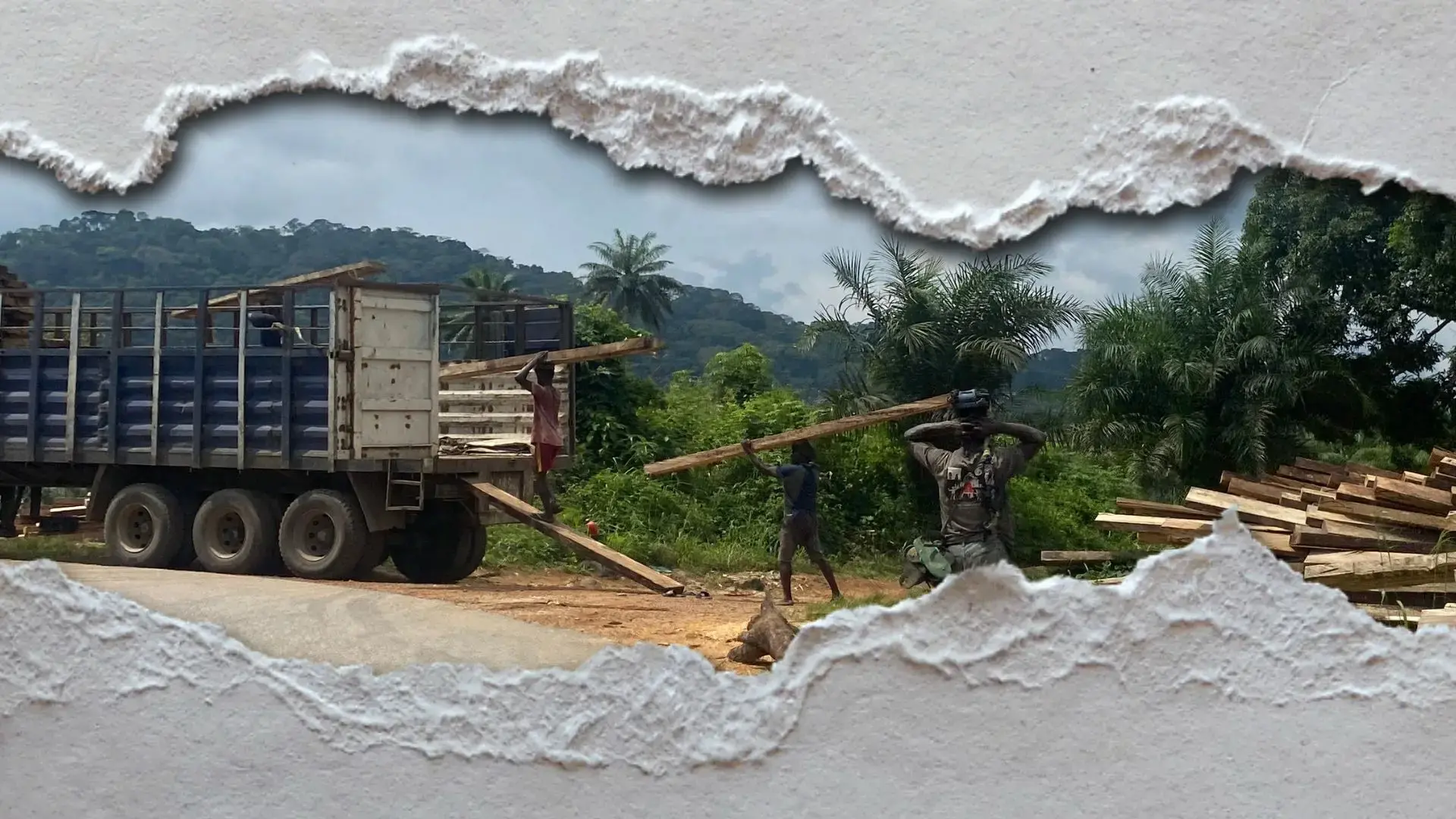 Nigeria and Uganda: Into the Woods | Pulitzer Center