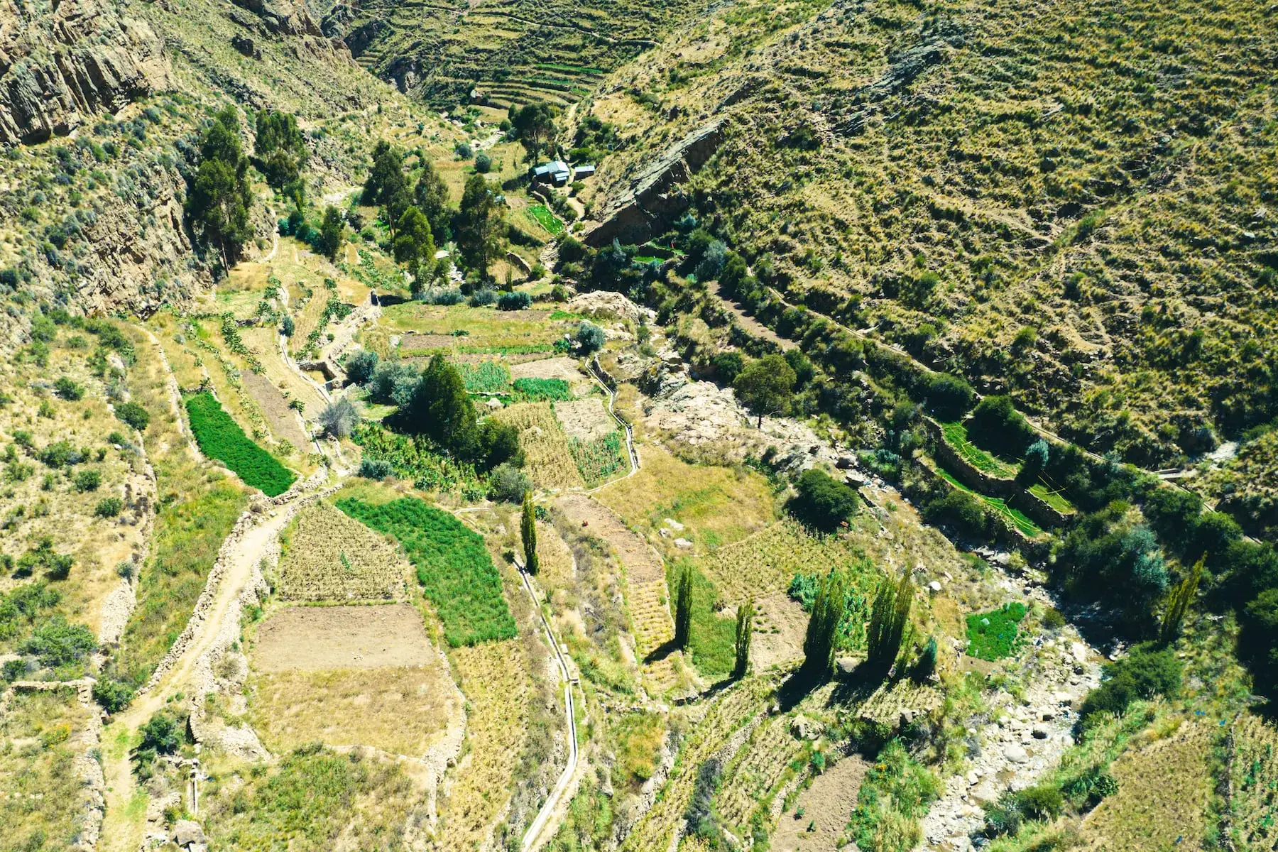 The Unprotected Water of the Cordillera de los Andes | Pulitzer Center