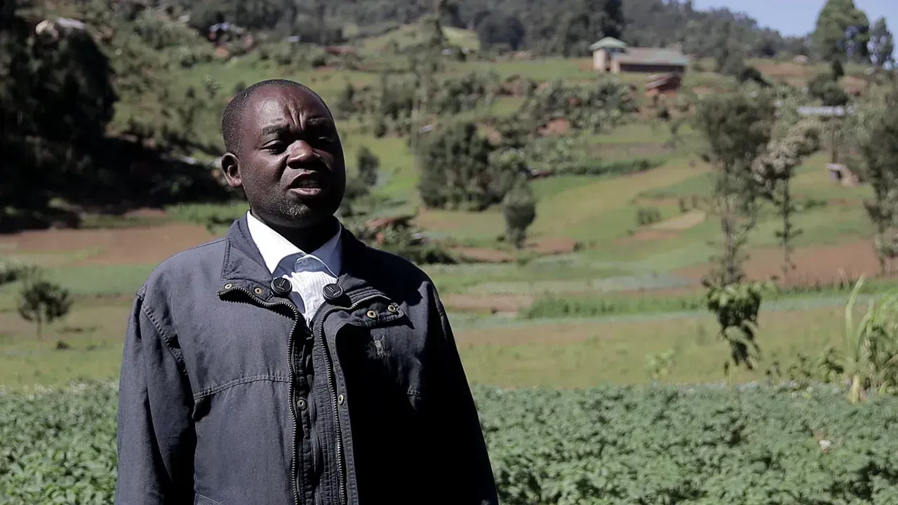 DRC: Facing Climate Change, a Recipe To Save Potato Farming (French ...