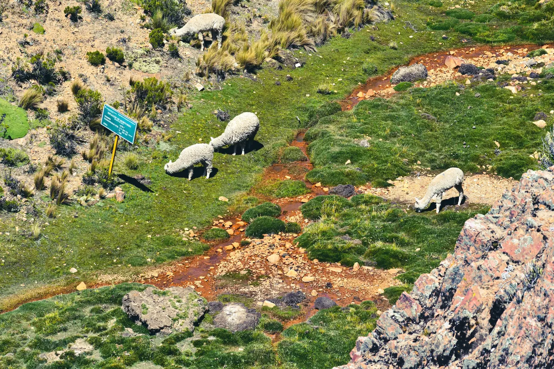 The Unprotected Water of the Cordillera de los Andes | Pulitzer Center