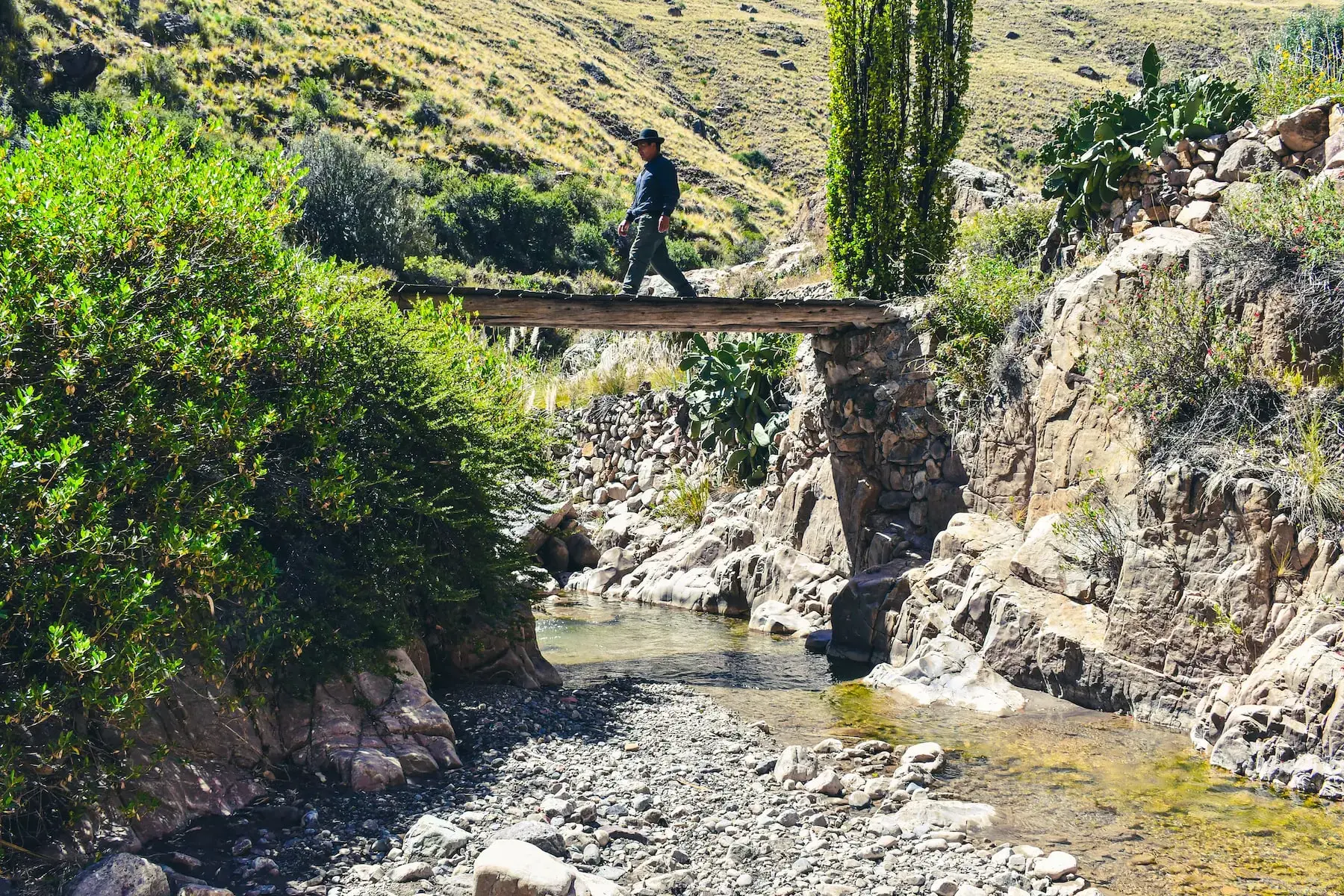 The Unprotected Water of the Cordillera de los Andes | Pulitzer Center
