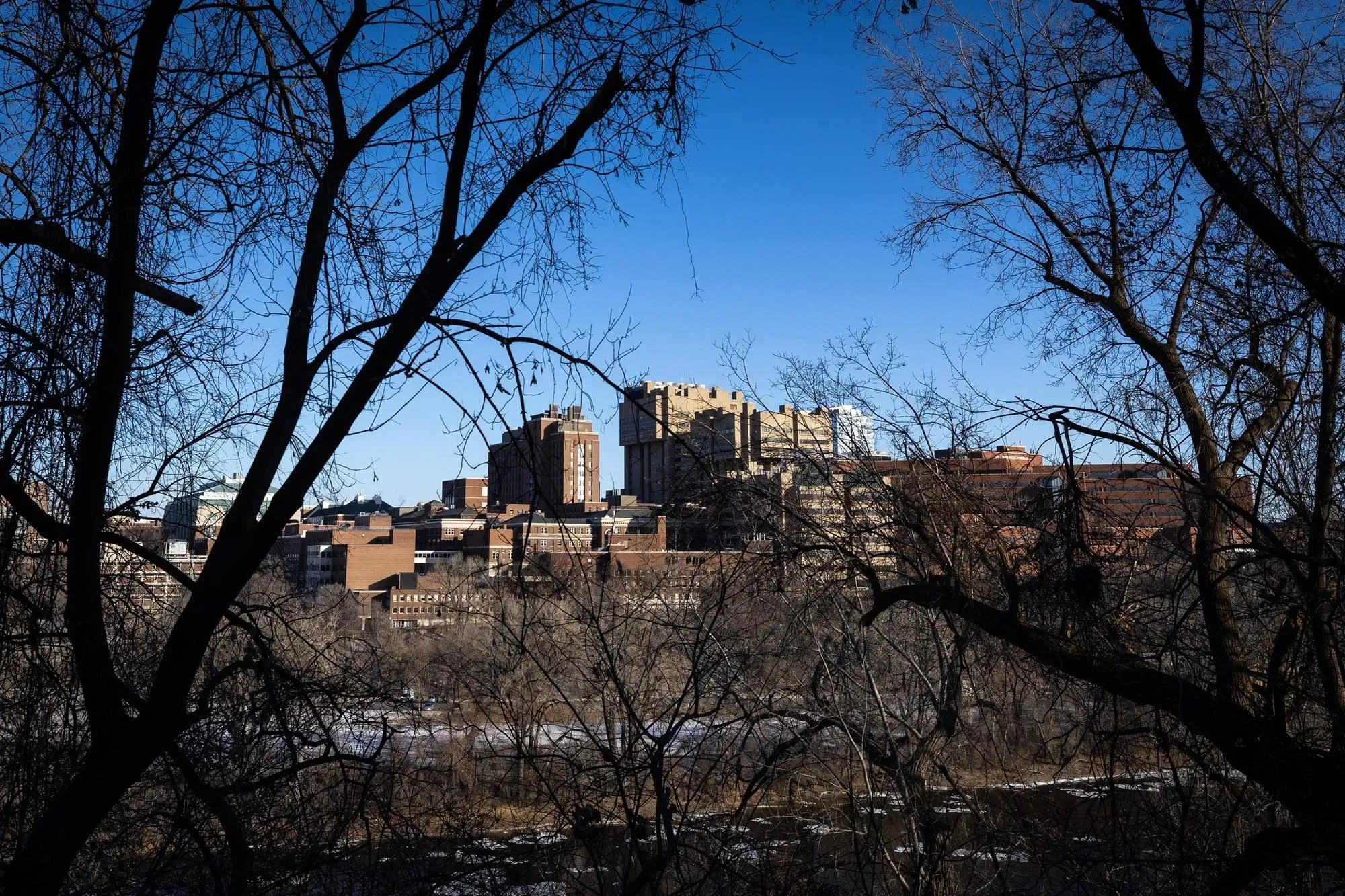 How the University of Minnesota System Endowment, Mining Industry ...