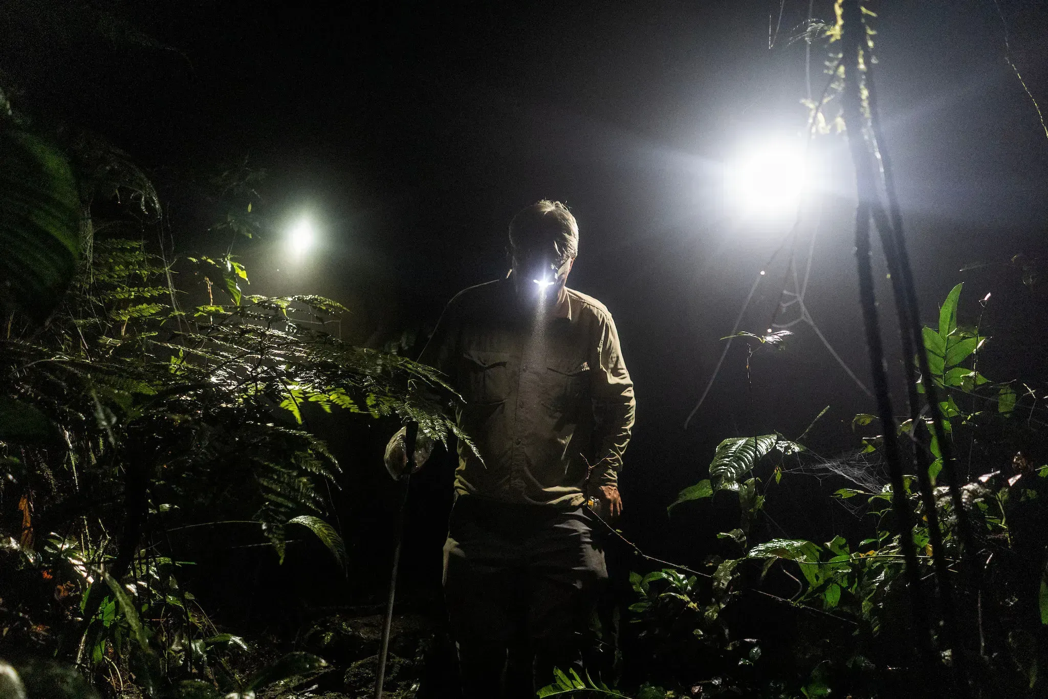 First, the Frogs Died. Then People Got Sick. | Pulitzer Center