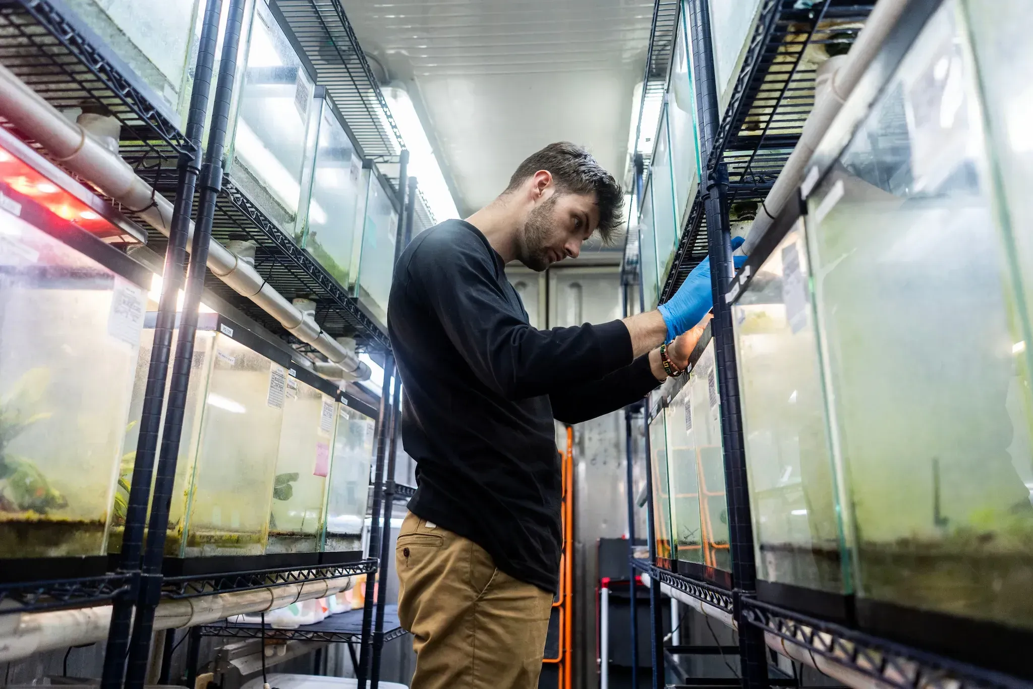 First, the Frogs Died. Then People Got Sick. | Pulitzer Center