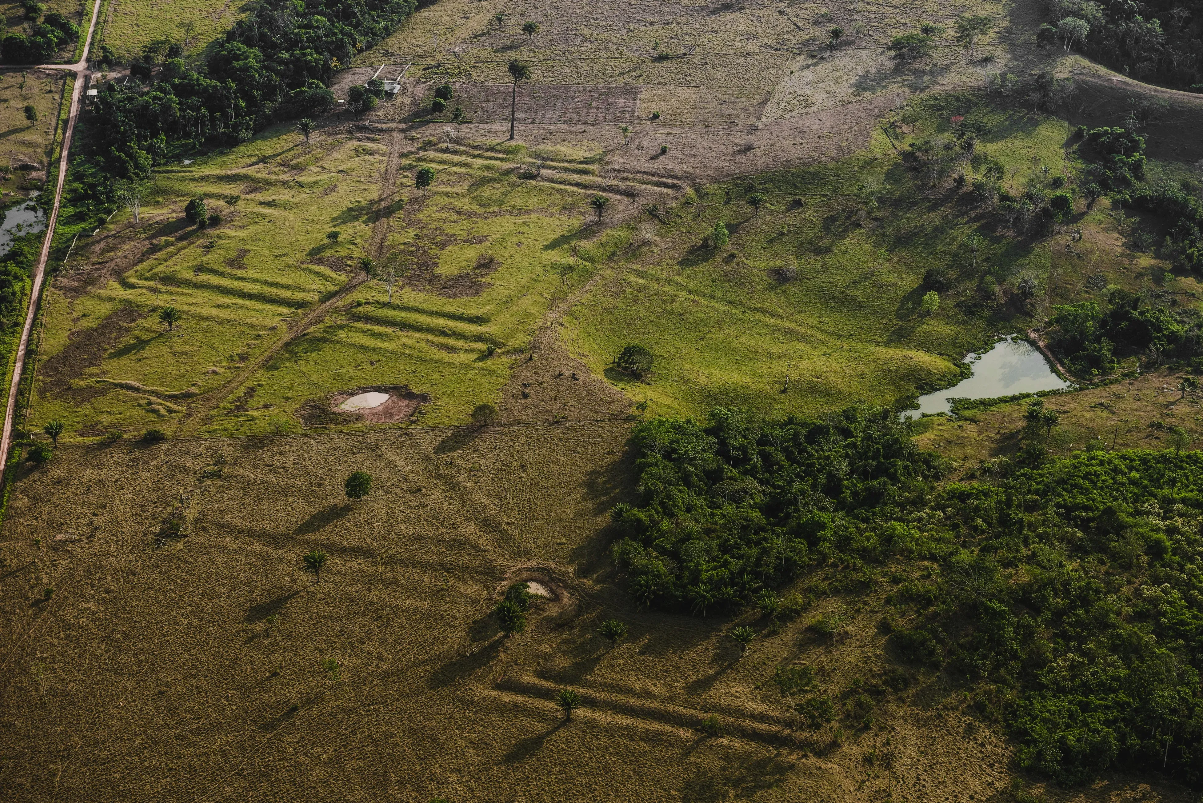 Lost Cities of the Amazon: How Science Is Revealing Ancient Garden ...