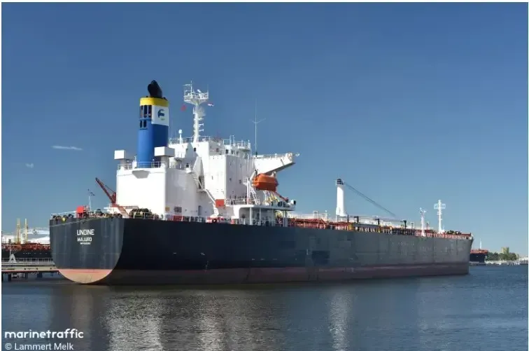 How Do Oil Tankers Threaten Marine Life in the Arabian Gulf? | Pulitzer ...