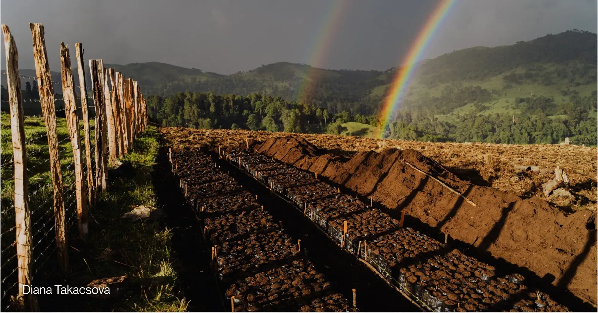 How a Kenyan Community Displaced for Conservation Now Leads the Effort ...