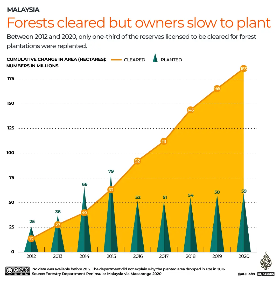 Warning of Ecological Disaster over Malaysia Forest Plantations ...