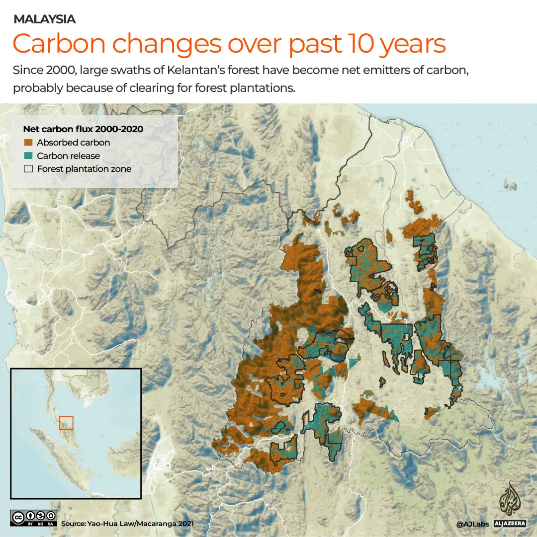 Warning of Ecological Disaster over Malaysia Forest Plantations ...