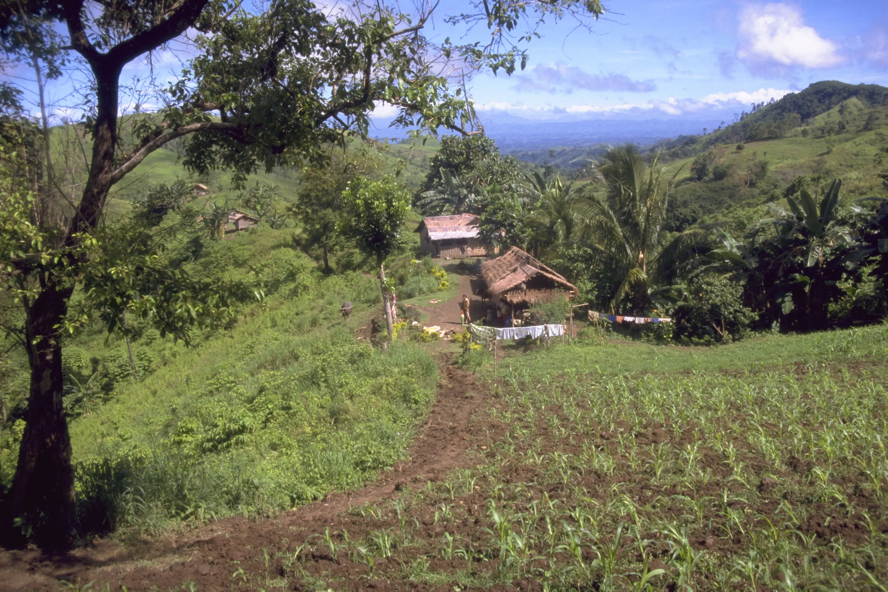 Land and Life: Indigenous Filipinos’ Ancestral Domain Rights | Pulitzer ...